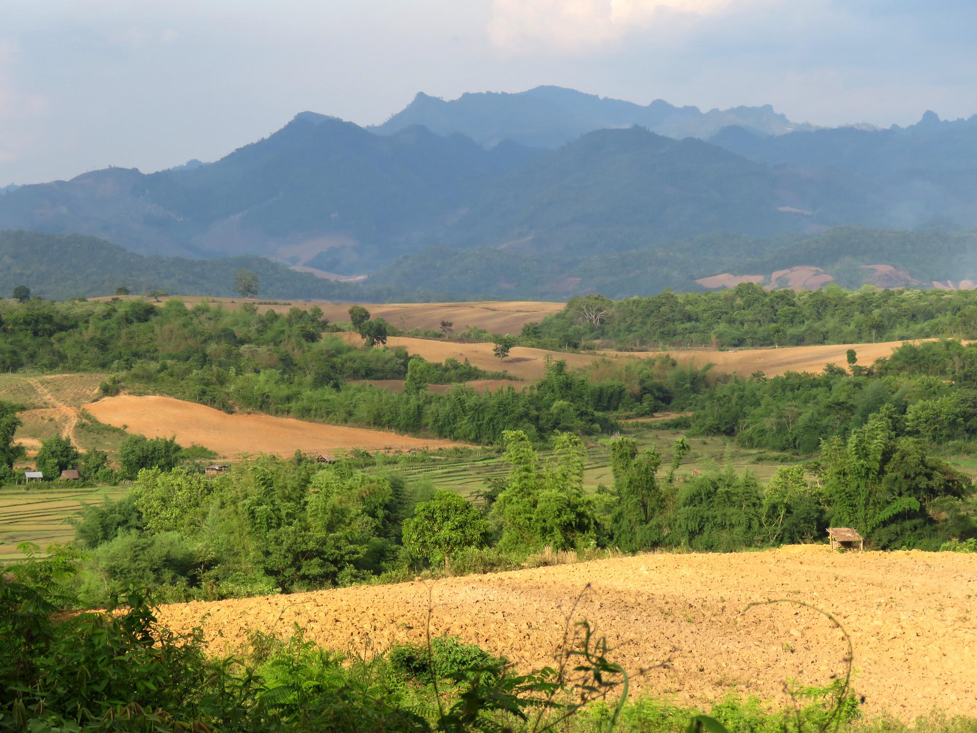 Key Concepts in Critical Agrarian Studies | Agrarian Conversations Key Concepts in Critical Agrarian Studies | Agrarian Conversations